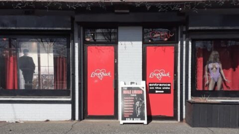 Why You Should Come Visit the Love Shack - Love Shack